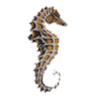 East Union High School - Blue Springs, MS