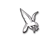 Alabama High School Athletic Association (AHSAA)Football